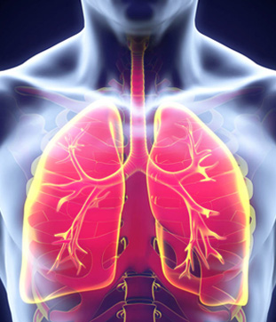 Pulmonary Medicine Services | West Coast Pulmonary